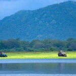 Udawalawe National Park Private Full-Day Safari - What’s Included and What’s Not