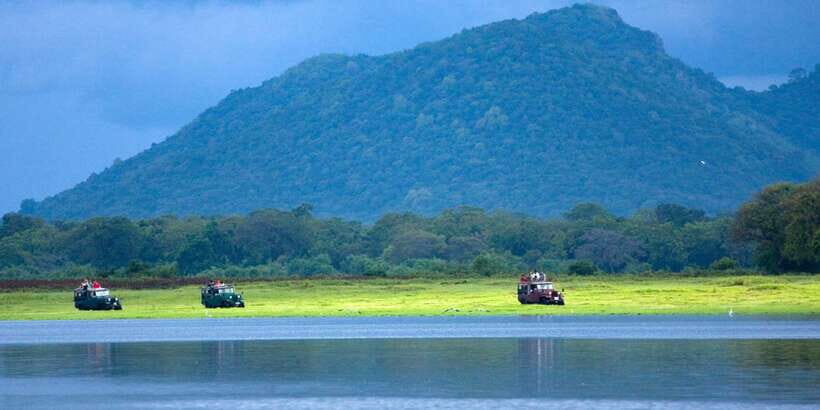Udawalawe National Park Private Full-Day Safari - What’s Included and What’s Not