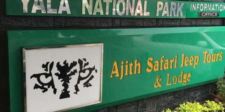 Udawalawe National Park Safari & Elephant Transit Home Visit - The Itinerary: A Well-Structured Day