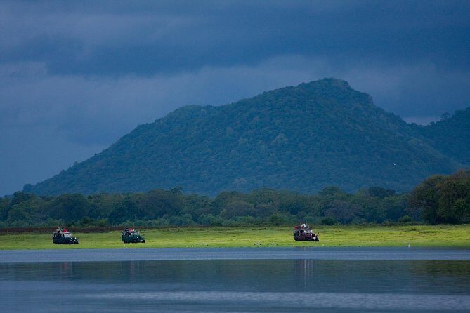 Udawalawe National Park Safari from Bentota - Exploring the Itinerary: What to Expect
