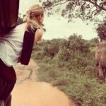 Udawalawe National Park Safari | From Mirissa | Galle | Weligama - Who Will Love This Tour?