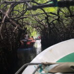 Udawalawe National Park Safari. Private full day tour from Bentota. - Who Would Love This Tour?
