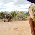 Udawalawe National park with Elephant Transit Home From Colombo - The Experience and How It Feels