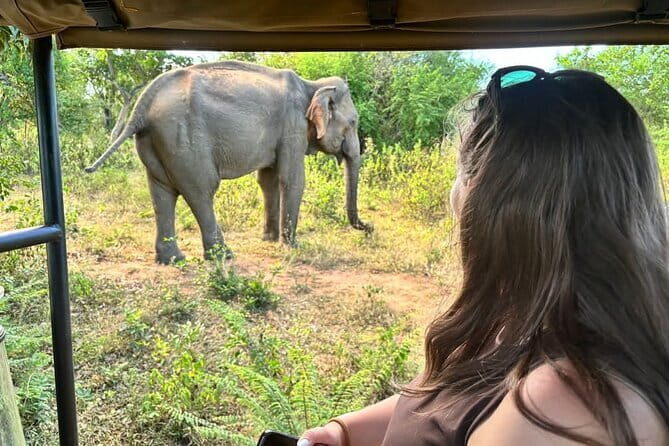 Udawalawe Safari & Elephants Orphanage Visit From Hambantota Port - Who Is This Tour Best For?
