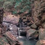 Udawalawe Safari & Waulpane Caving day tour from Colombo - The Value Proposition