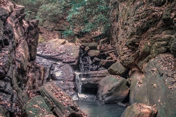 Udawalawe Safari & Waulpane Caving day tour from Colombo - The Value Proposition