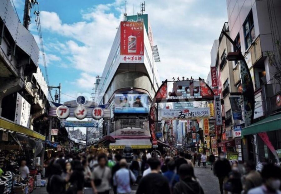 Ueno and Yanaka Day Walking Tour: Culture, Art and Old Tokyo - The Real Value in This Tour