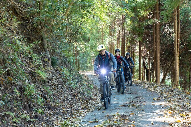 Ukiha's Private Forest Ride - The Itinerary: What to Expect