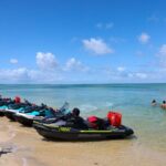 Ultimate 10 Hour Jetski Adventure from Gold Coast to Tangalooma - Price and Value Consideration