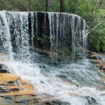 Ultimate Blue Mountains Private Tour with Scenic World and Wildlife Park - What’s Included and Why It Matters