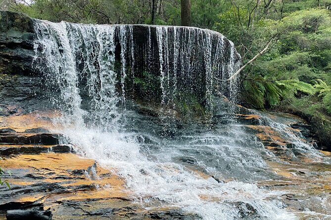 Ultimate Blue Mountains Private Tour with Scenic World and Wildlife Park - What’s Included and Why It Matters