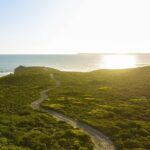 Ultimate Buggy Tour in Kangaroo Island - Authentic Experiences and Traveler Feedback
