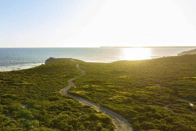 Ultimate Buggy Tour in Kangaroo Island - Authentic Experiences and Traveler Feedback