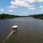 Ultimate Daintree Rainforest Wildlife Experience Cruise - What the Reviews Tell Us