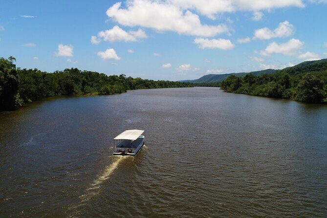 Ultimate Daintree Rainforest Wildlife Experience Cruise - What the Reviews Tell Us