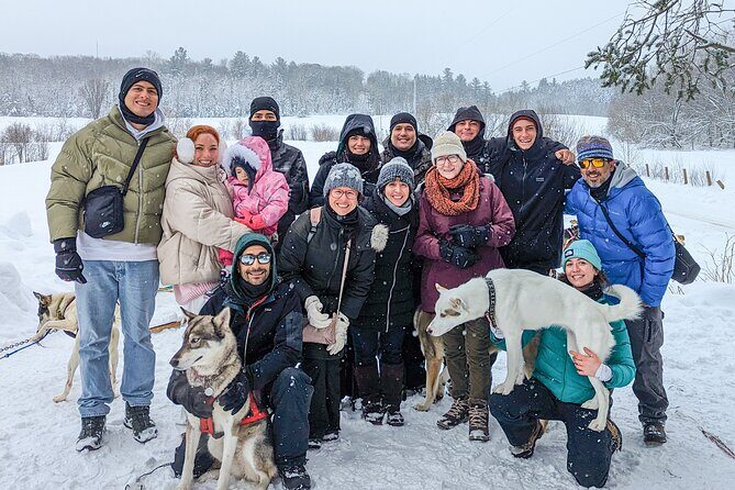Ultimate Dog Sledding Tour - Day trip from Ottawa & Gatineau - Weather and Cancellation Policies