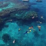 Ultimate Encounters Package - 2 Days | 1 Night - Transportation and Convenience