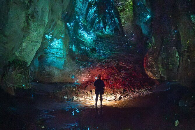 Ultimate Waitomo Glowworm Tour  Private, Tailored, After Dark - The Price and Its Value