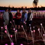 Uluru (Ayers Rock) Field of Light Sunrise Tour - The Itinerary Step-by-Step