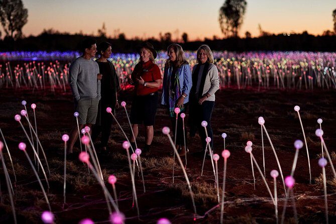 Uluru (Ayers Rock) Field of Light Sunrise Tour - The Itinerary Step-by-Step