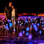 Uluru: Field of Light Sunrise Tour with Hot Drinks - An In-Depth Look at the Experience
