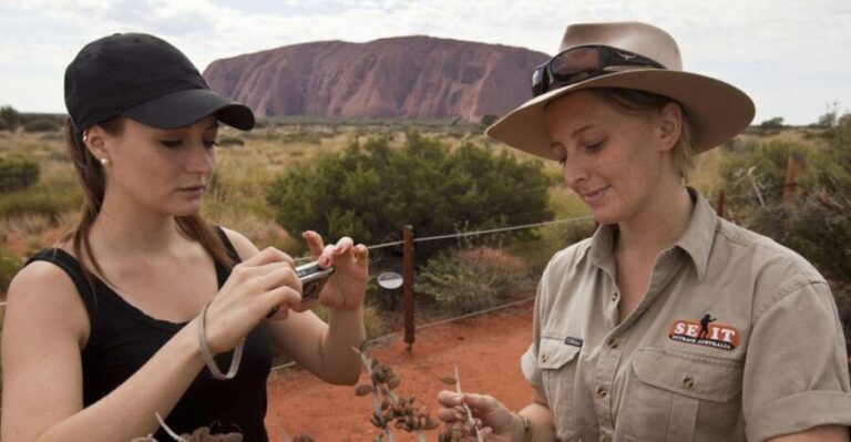 Uluru: Small Group Guided Tour with Sunset Refreshments - A Thorough Breakdown of the Itinerary
