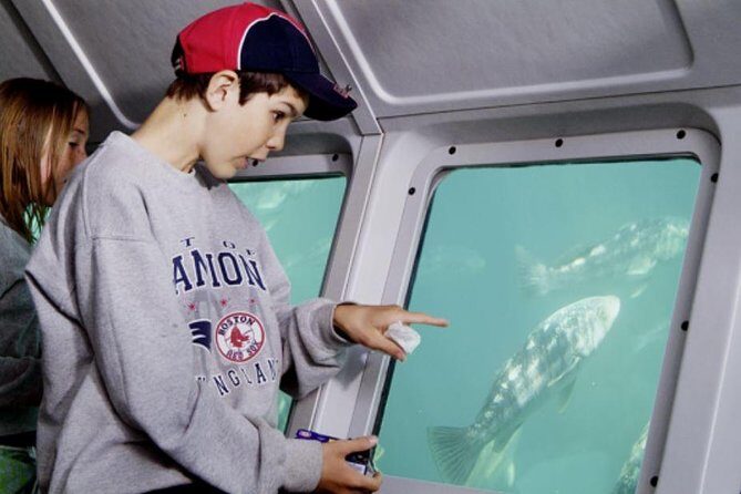 Undersea Expedition: Catalina Island Tour - Detailed Breakdown of the Itinerary