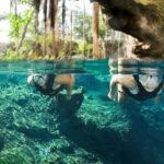 Underwater Maya Snorkeling Tour - The Value and Practicalities