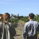 Unearth Voyager - What Travelers Who Review the Tour Say