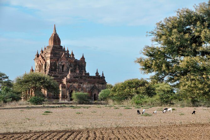 UNESCO World Heritage Bagan: Archaeological Temples by E-Bike - The Cost and Value