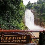 UNESCO World Heritage Site : Khao Yai National Park Tour - The Itinerary in Detail