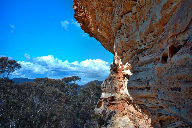 Unforgettable Blue Mountains Day Tour - The Itinerary: How the Day Unfolds