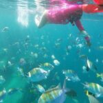 unforgettable snorkeling activity in The Sea of Cortes - Why This Tour Offers Value