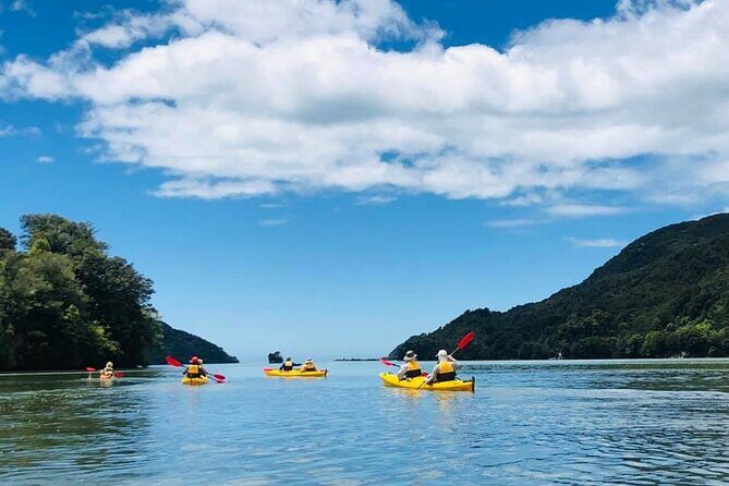 Unguided 3-Day Freedom Kayak Rental New Zealand - Who Is This Tour Best For?