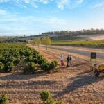 Unique Trike Barossa Valley Half Day Private Tour For 2 - Who Would Love This Experience?