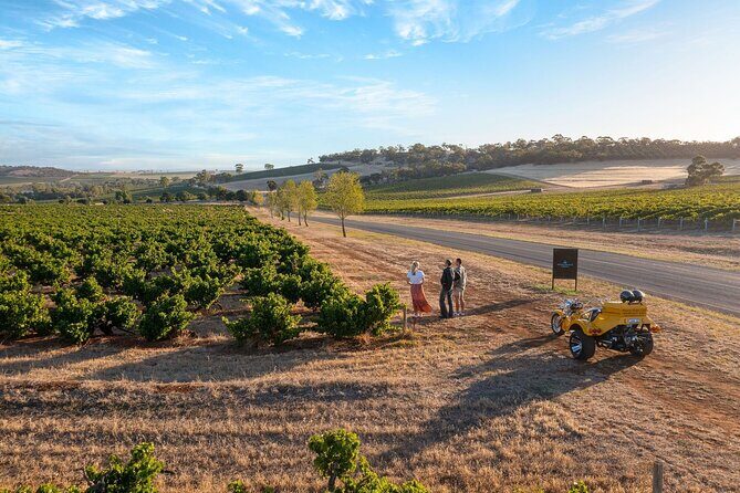 Unique Trike Barossa Valley Half Day Private Tour For 2 - Who Would Love This Experience?