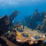 USS Liberty Shipwreck Scuba Diving at Tulamben Bali - What You’ll Experience on the Tour