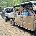 UTV 4wd Cassowary Falls and Daintree Rainforest Adventure tour - In-Depth Breakdown of the Itinerary