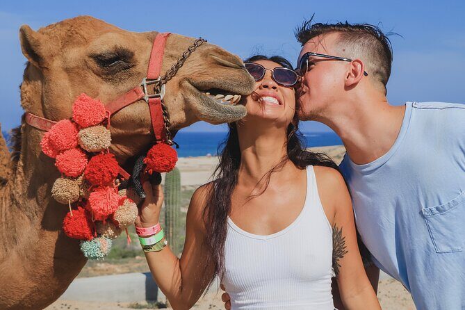 UTV Adventure + Free Camel Ride & Sky Bikes - Practical Details and Tips