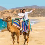 UTV and Camel Ride in the Cabo Desert - Who Will Love This Tour?
