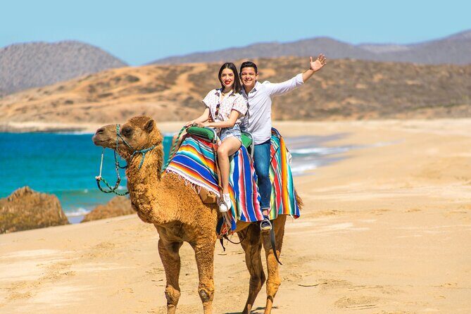 UTV and Camel Ride in the Cabo Desert - Who Will Love This Tour?