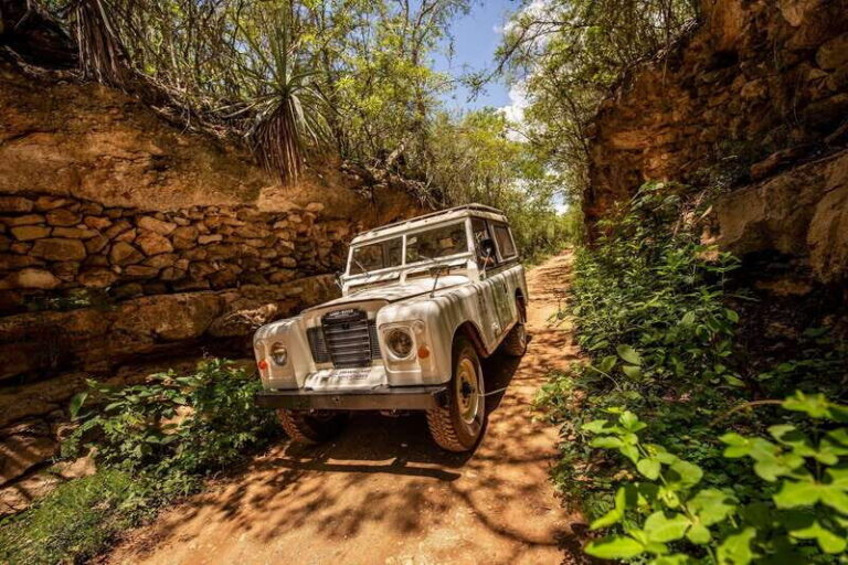 Uxmal: Vintage Land Rover Expedition to Uxmal Cenotes - Exploring the Cenotes: Magical Water Gateways