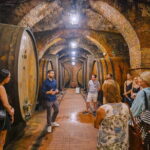 Val d'Orcia private tour: Montalcino, Pienza and Montepulciano - The Practicalities: Comfort, Flexibility, and Value