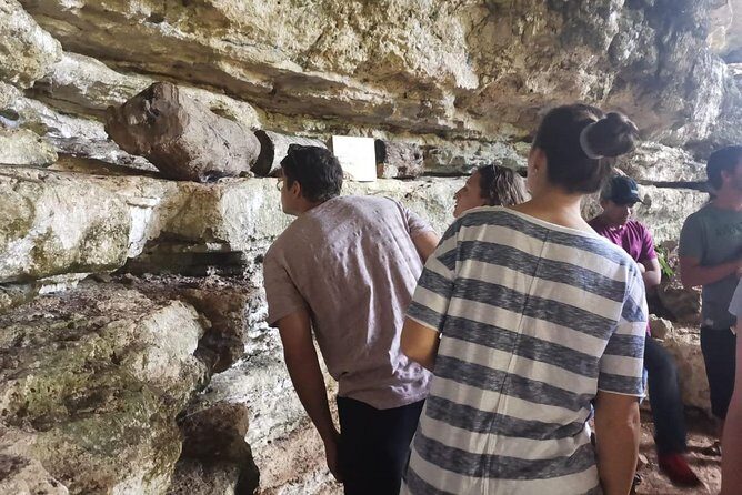 Valladolid Mayan Bees Tour with Lunch or breakfast and Honey Tasting - Practical Details and What to Expect