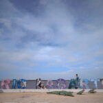 VALLADOLID: RIO LAGARTOS + LAS COLORADAS + CENOTE (SHARED TRIP) - Logistics and Practicalities