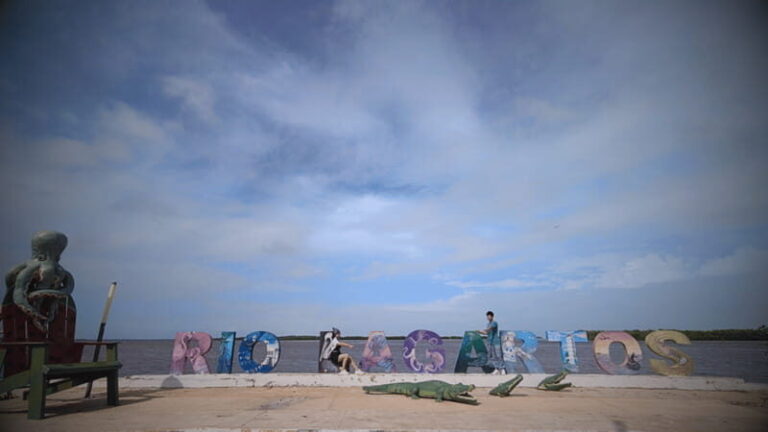 VALLADOLID: RIO LAGARTOS + LAS COLORADAS + CENOTE (SHARED TRIP) - Logistics and Practicalities