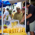 Vallarta: 3.5-Hour Pitillal Food Tour - Authenticity and Personal Experiences