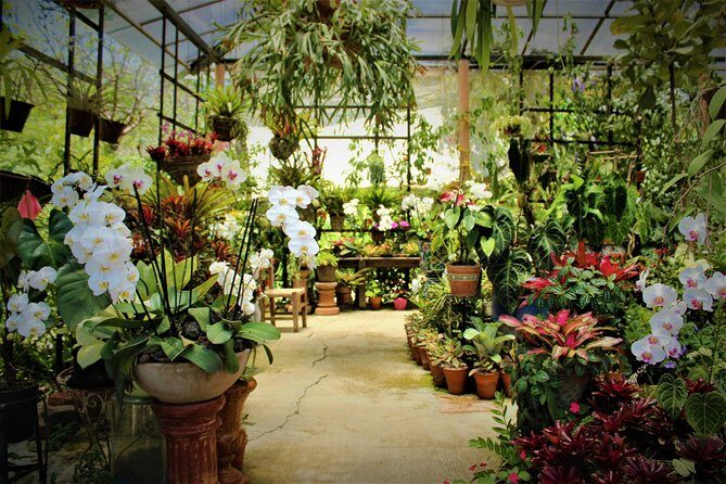 Vallarta Botanical Garden and Tequila Tasting from Puerto Vallarta - In-Depth Look at the Tour Experience