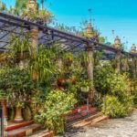 Vallarta Botanical Garden: Private Day Trip of Flora & Fauna - What Makes This Tour a Valuable Choice?