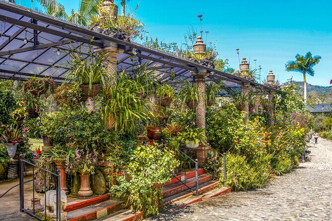 Vallarta Botanical Garden: Private Day Trip of Flora & Fauna - What Makes This Tour a Valuable Choice?
